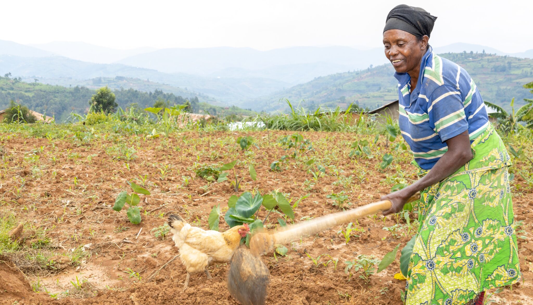 Cash Aid in Rwanda | GiveDirectly